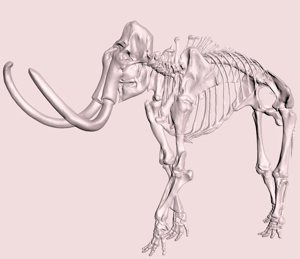 Sample 3D Content Library - www.reliefmaker.com