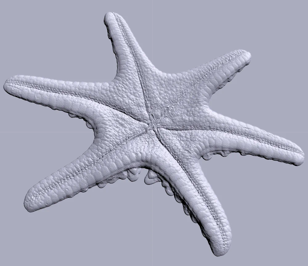 Sample 3D Content Library - www.reliefmaker.com