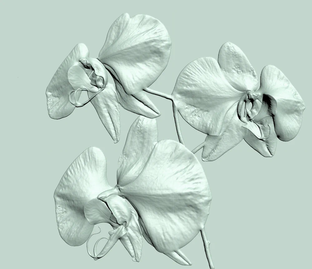 Sample 3D Content Library - www.reliefmaker.com