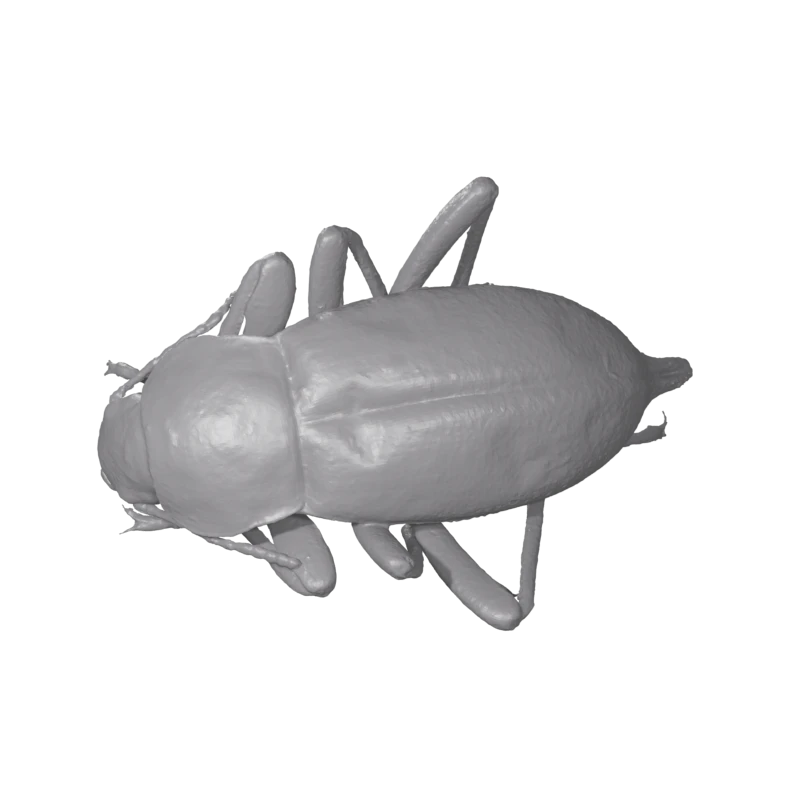 Sample 3D Content Library - www.reliefmaker.com