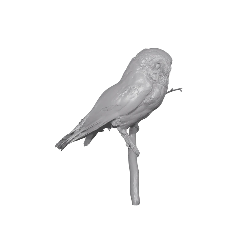 Sample 3D Content Library - www.reliefmaker.com