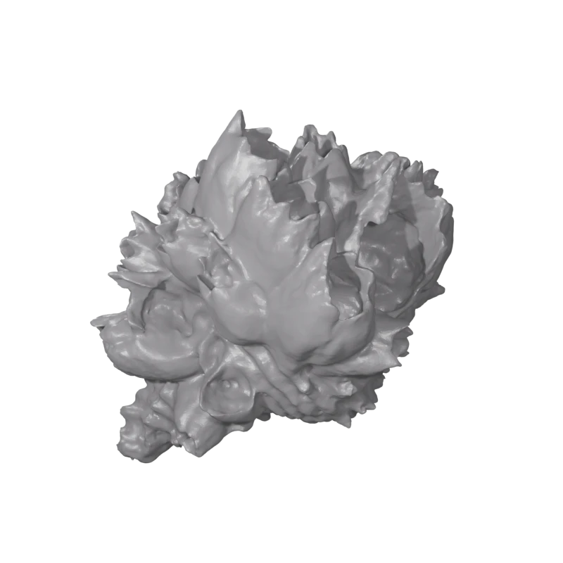 Sample 3D Content Library - www.reliefmaker.com