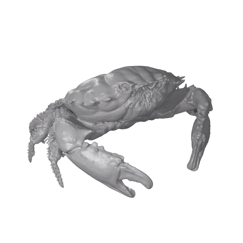 Sample 3D Content Library - www.reliefmaker.com