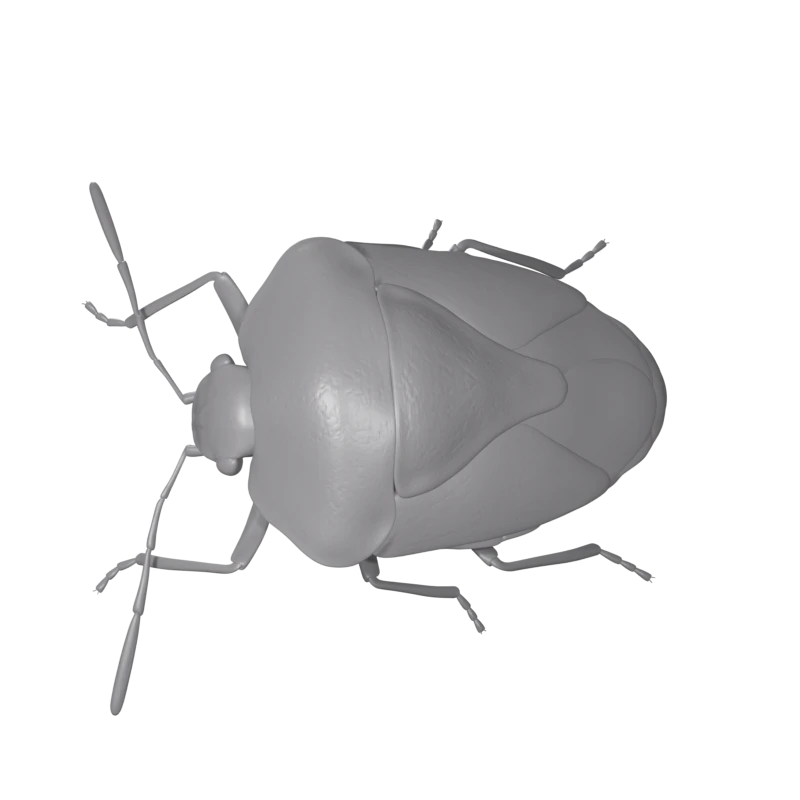 Sample 3D Content Library - www.reliefmaker.com