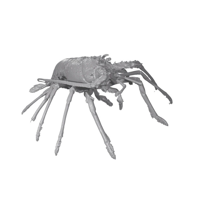 Sample 3D Content Library - www.reliefmaker.com