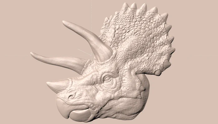 Relief Maker Output Samples - www.reliefmaker.com