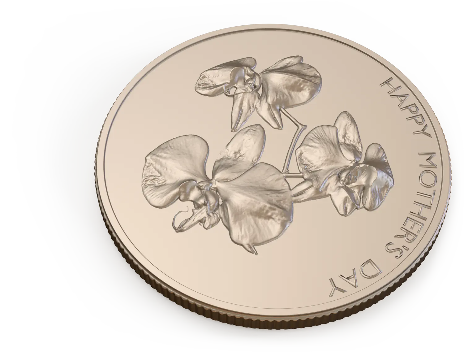 Coin Relief Design and Challenge Coin Relief Design