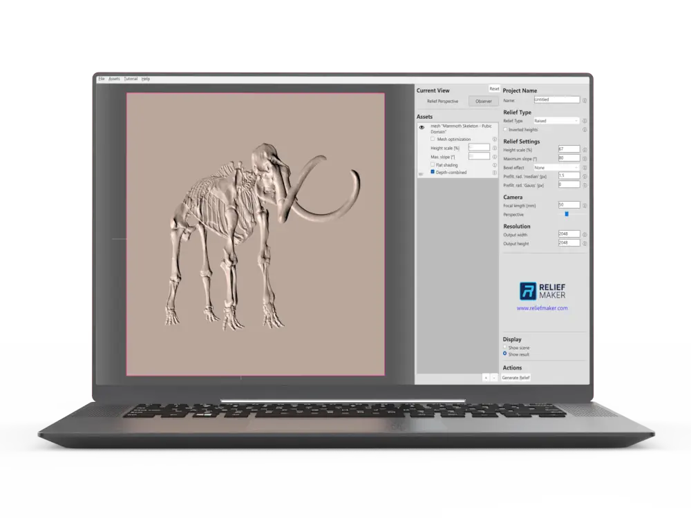 Coin Relief Design and Challenge Coin Relief Design