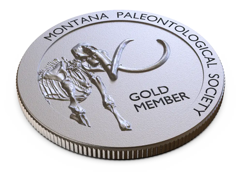 Coin Relief Design and Challenge Coin Relief Design